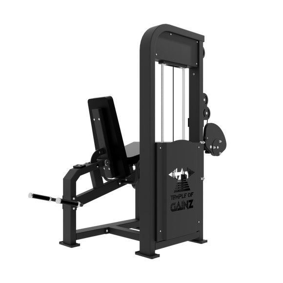 SELECTORIZED LEG EXTENSION + PRONE LEG CURL MACHINE VERSION 2 (120KGS ...