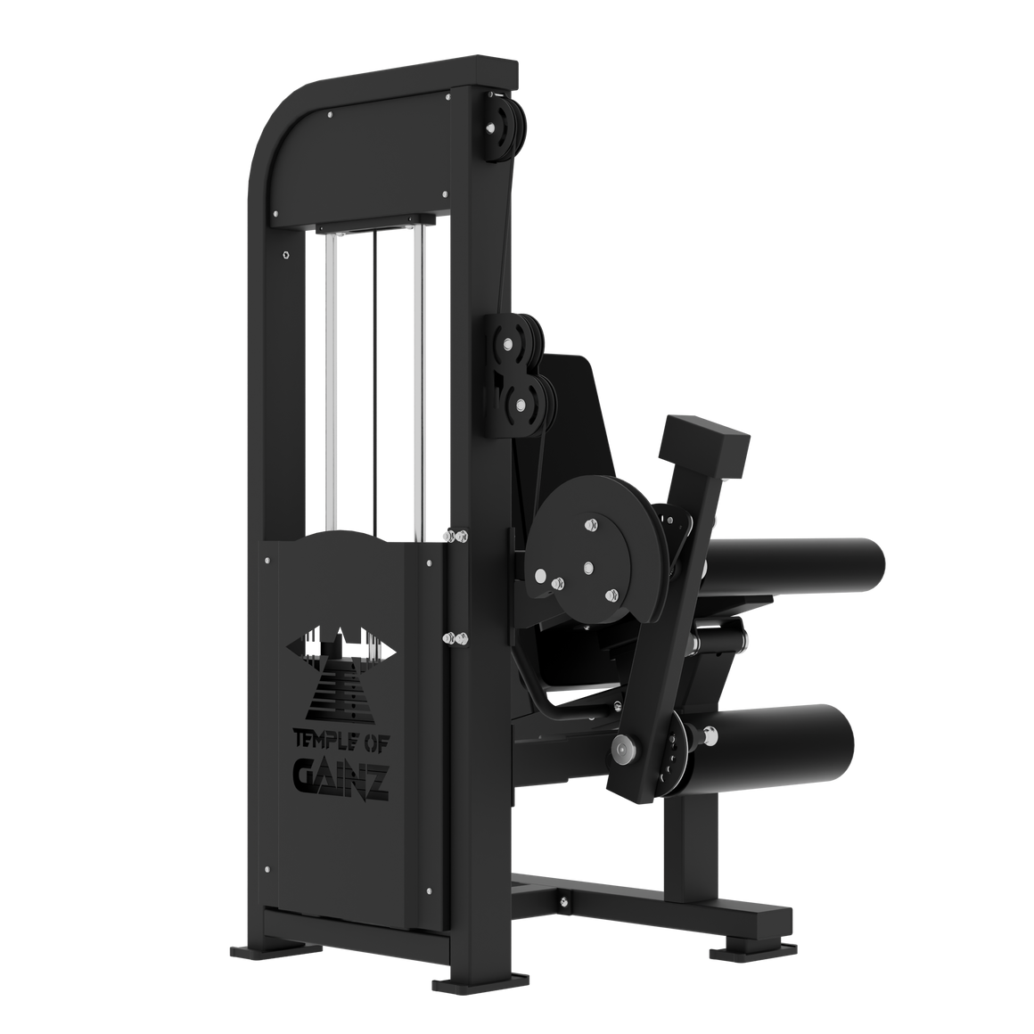 SELECTORIZED LEG EXTENSION + PRONE LEG CURL MACHINE VERSION 3 – Temple ...