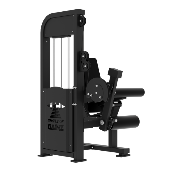 SELECTORIZED LEG EXTENSION + PRONE LEG CURL MACHINE VERSION 3 – Temple ...