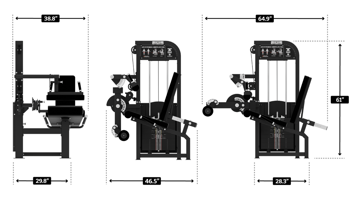 SELECTORIZED LEG EXTENSION + SEATED LEG CURL VERSION 3 – Temple of Gainz