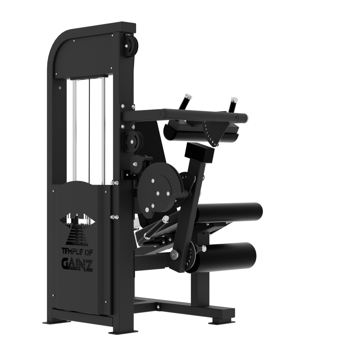 SELECTORIZED LEG EXTENSION + SEATED LEG CURL VERSION 3 – Temple of Gainz